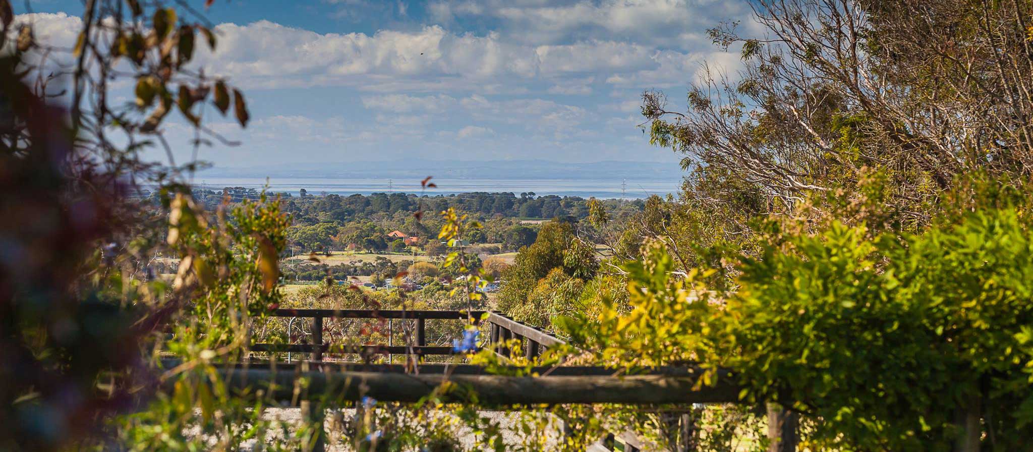 view-l-cooper - LCooper Real Estate Somerville